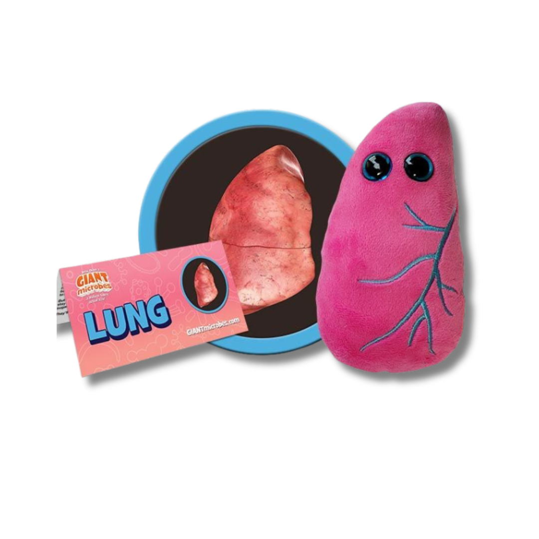 Lung Plush | International Museum of Surgical Science Gift Shop