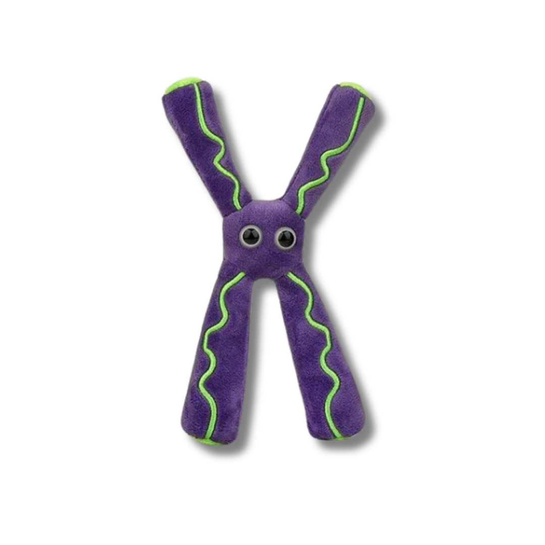 Chromosome Plush | International Museum of Surgical Science Gift Shop
