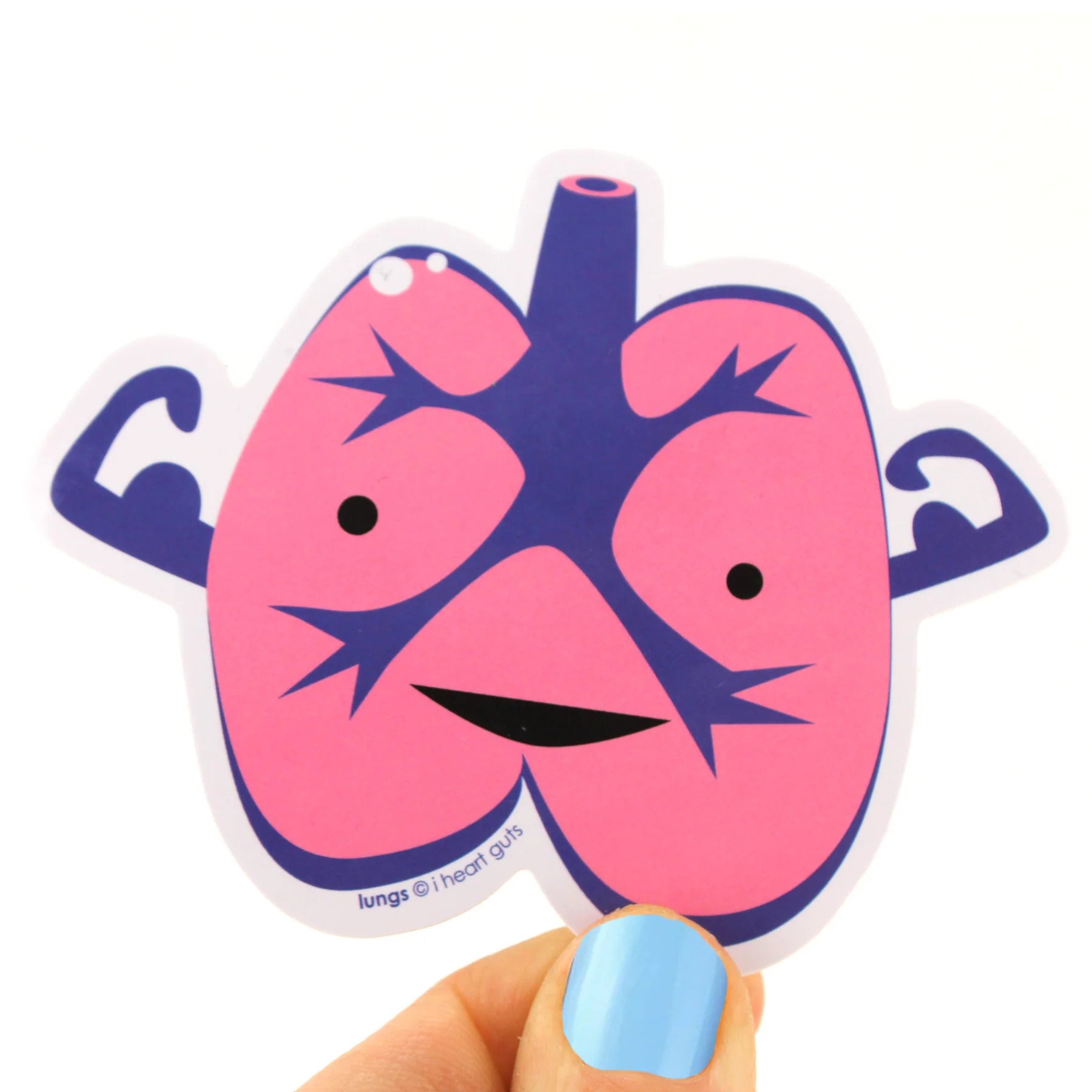 Lung Sticker | International Museum of Surgical Science Gift Shop