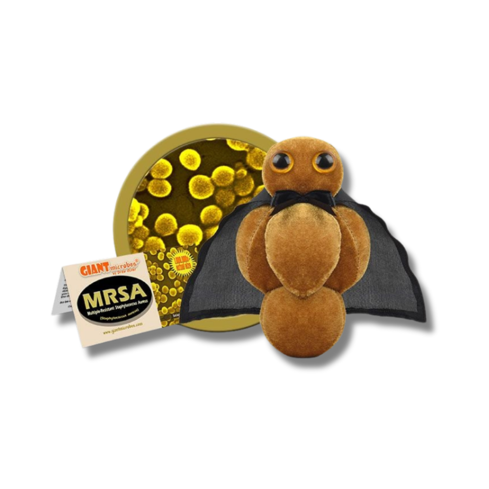 MRSA Plush | International Museum of Surgical Science Gift Shop